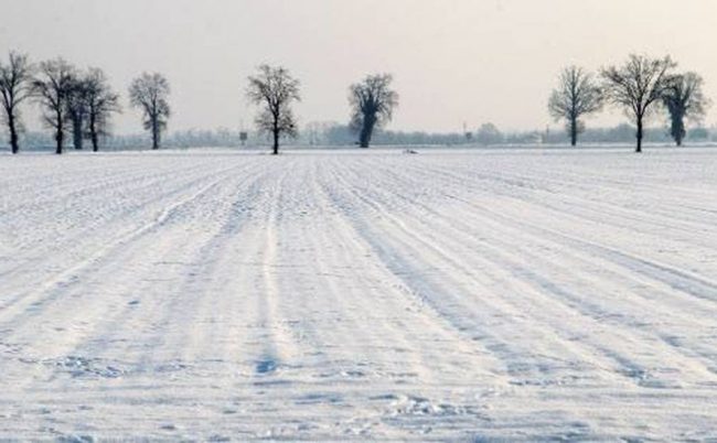 Brusco calo delle temperature, possibile arrivo della neve - Prima Verona